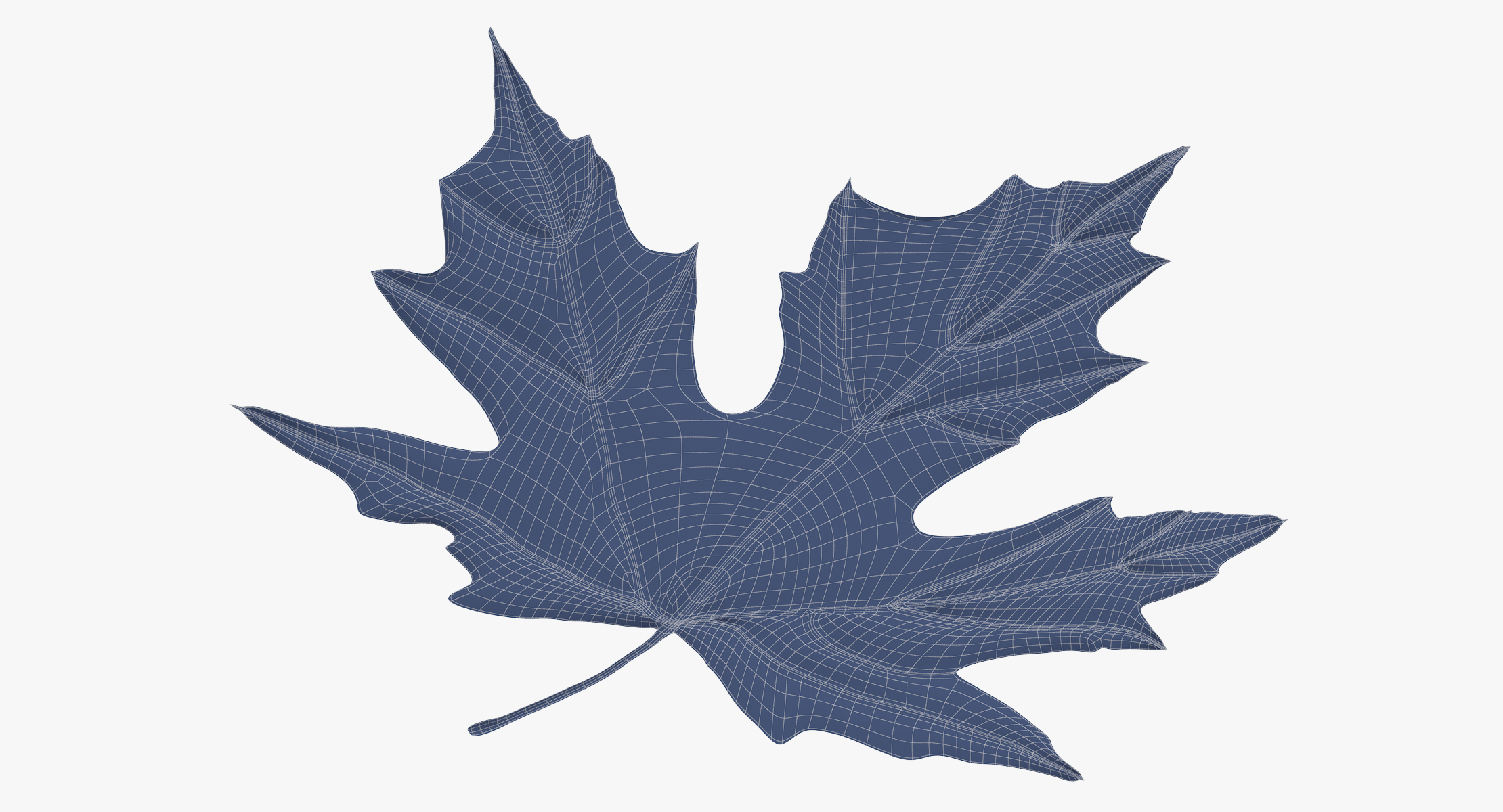 brown maple leaf 3d model