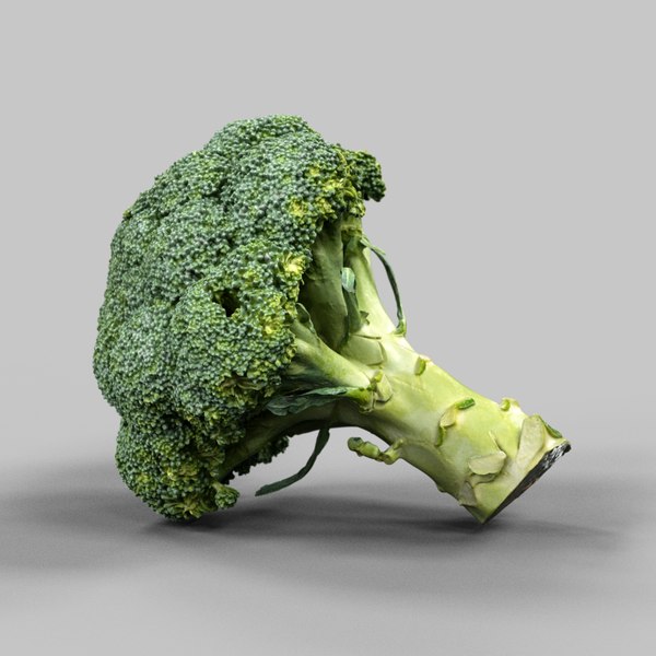 Broccoli 3D Models for Download | TurboSquid