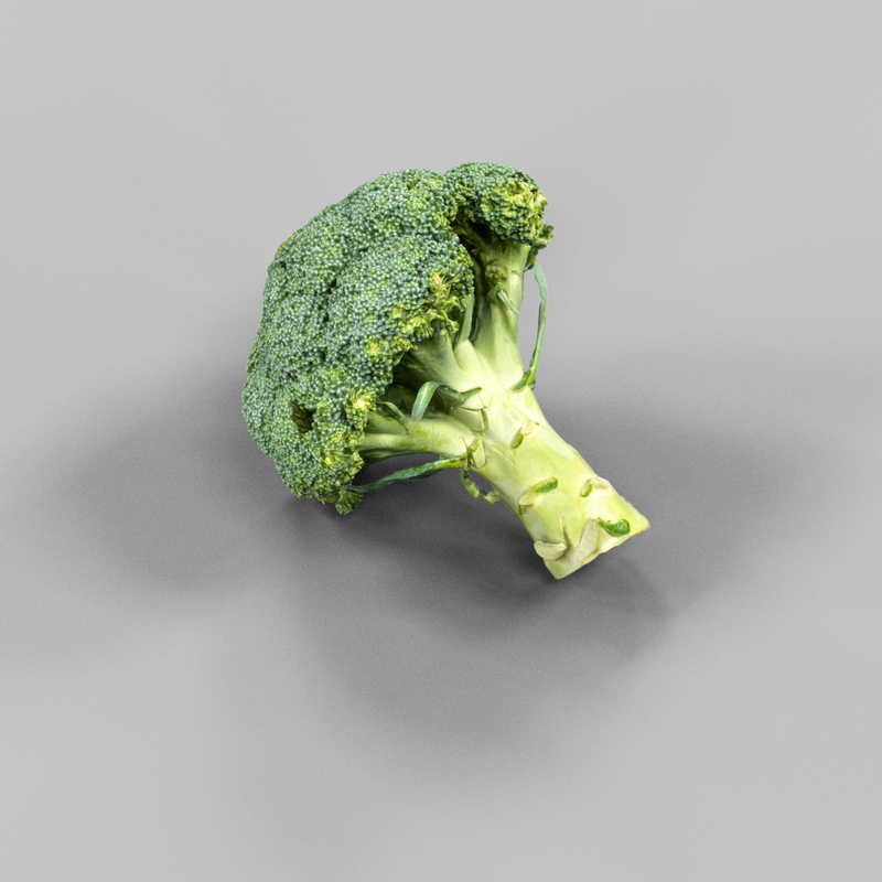3d model photorealistic broccoli