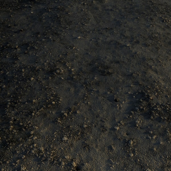 ground mud muddy 3d max