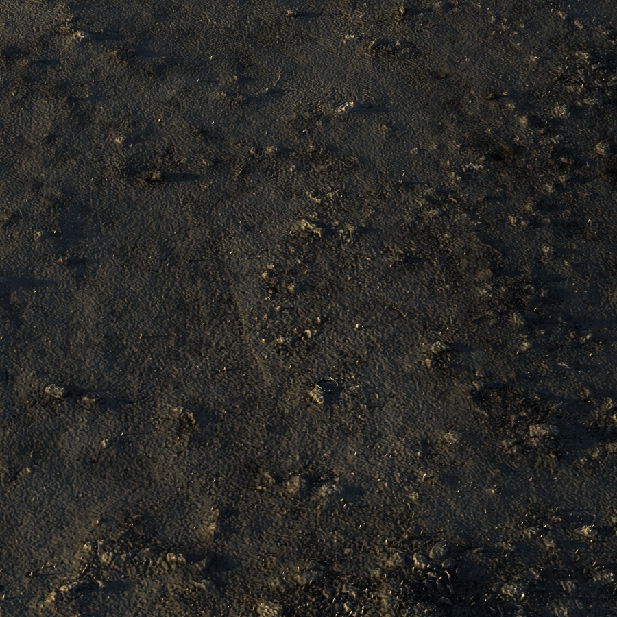 ground mud muddy 3d max