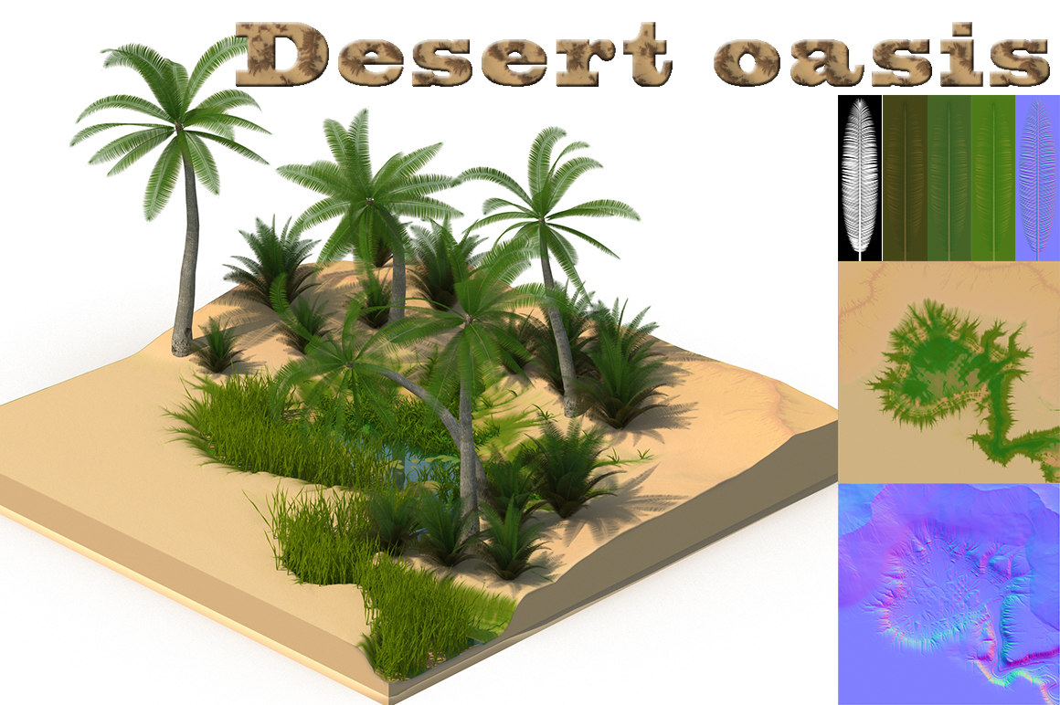 3d desert oasis model