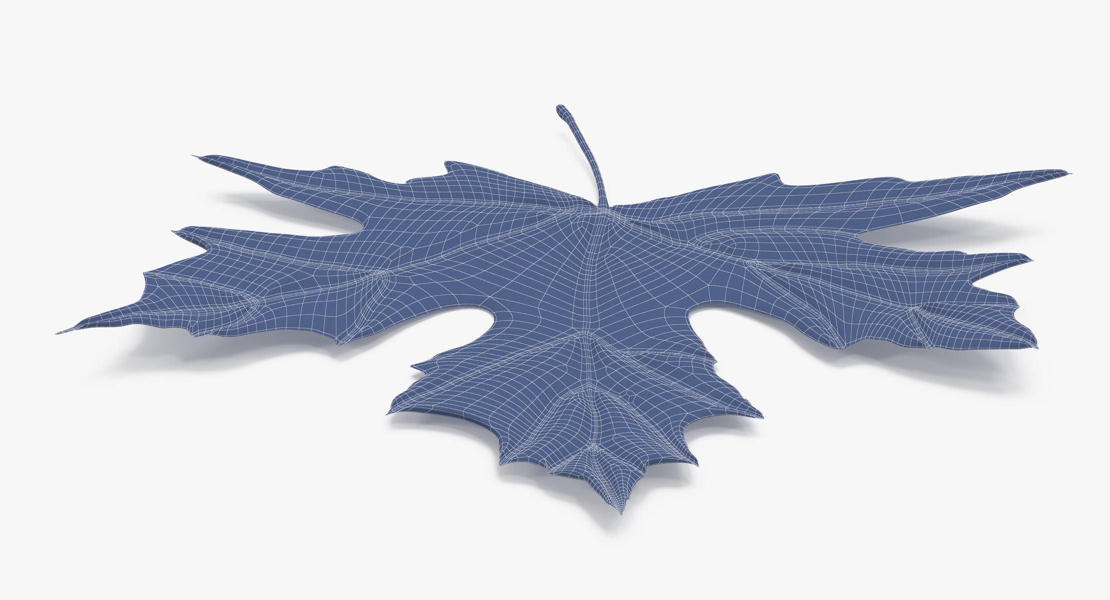 3d green maple leaf model