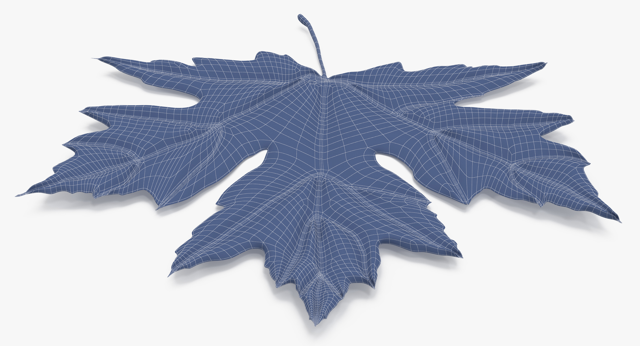 red maple leaf 3d max