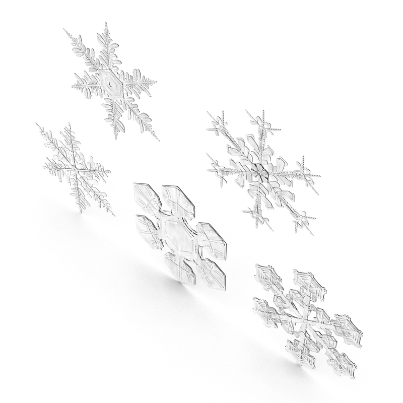 3d model snowflakes set realistic