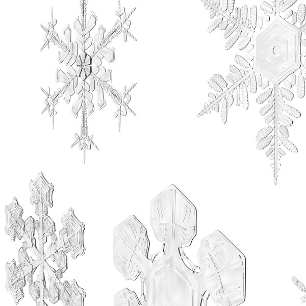 3d model snowflakes set realistic