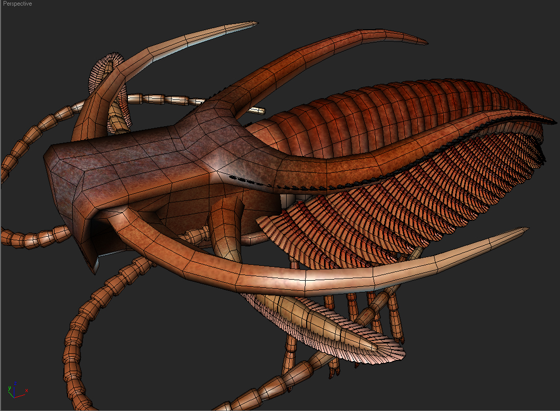 marrella splendens 3d max