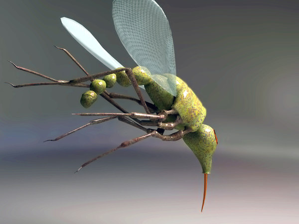 Mosquito 3D Models for Download | TurboSquid