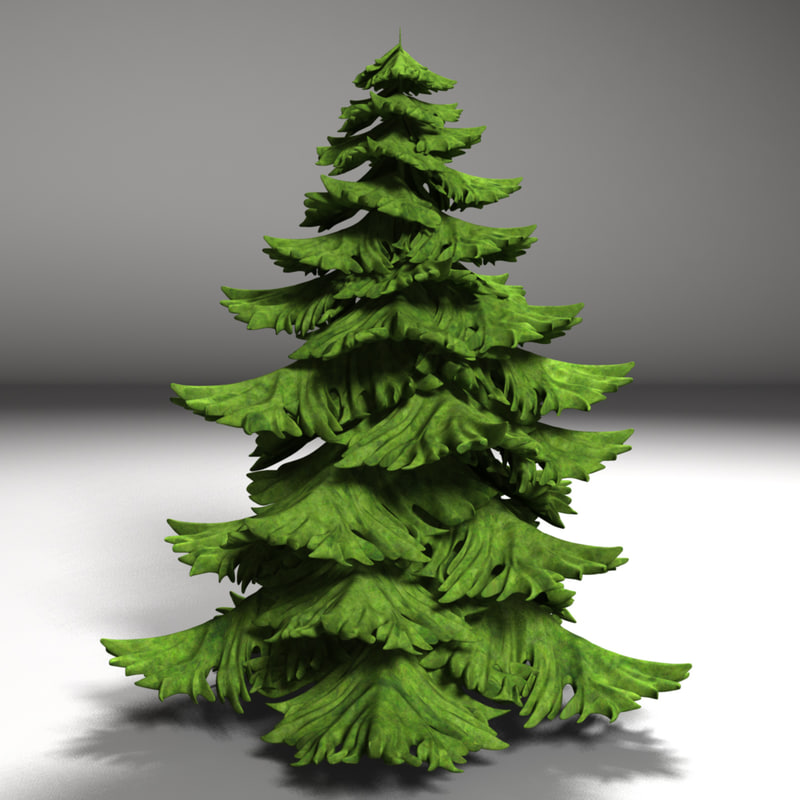 fir tree c4d