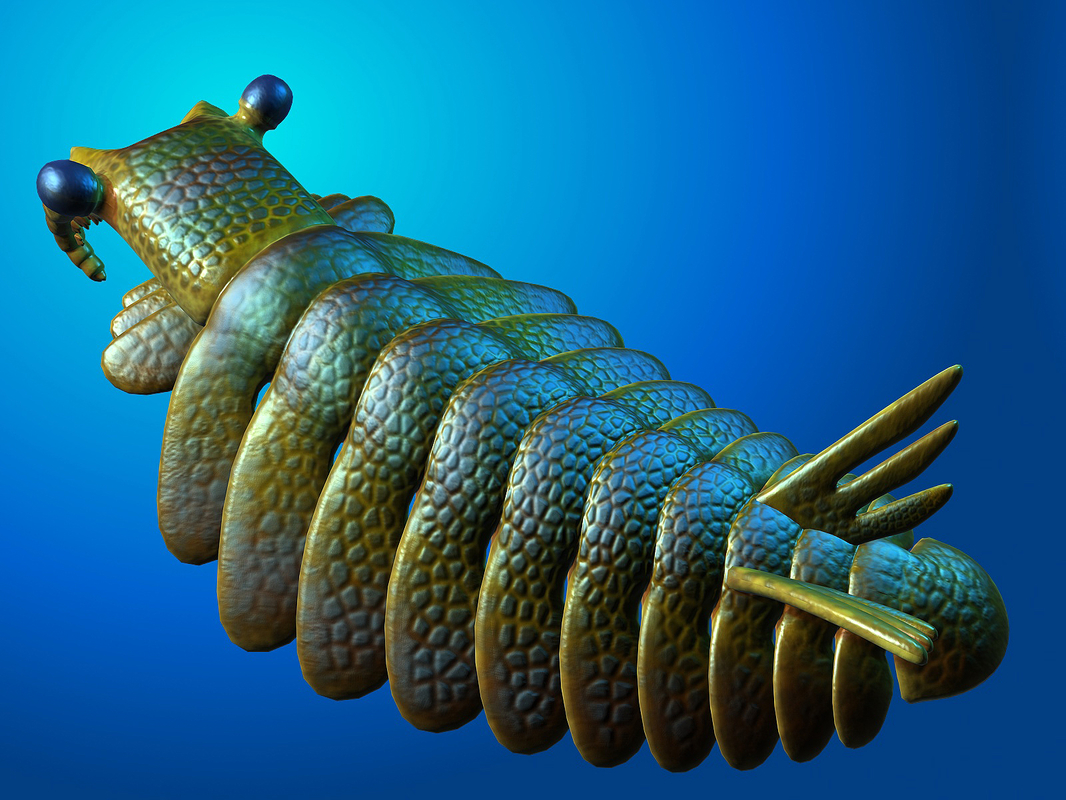max anomalocaris extinct arthropods