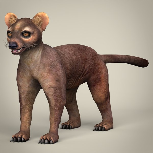 Mongoose 3D Models for Download | TurboSquid