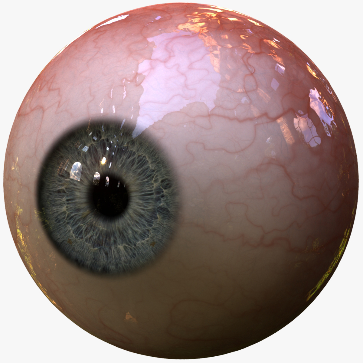 realistic human creature eye pupil 3d model