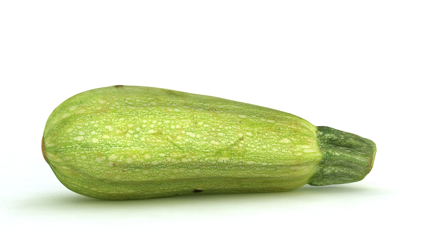 squash 3d model