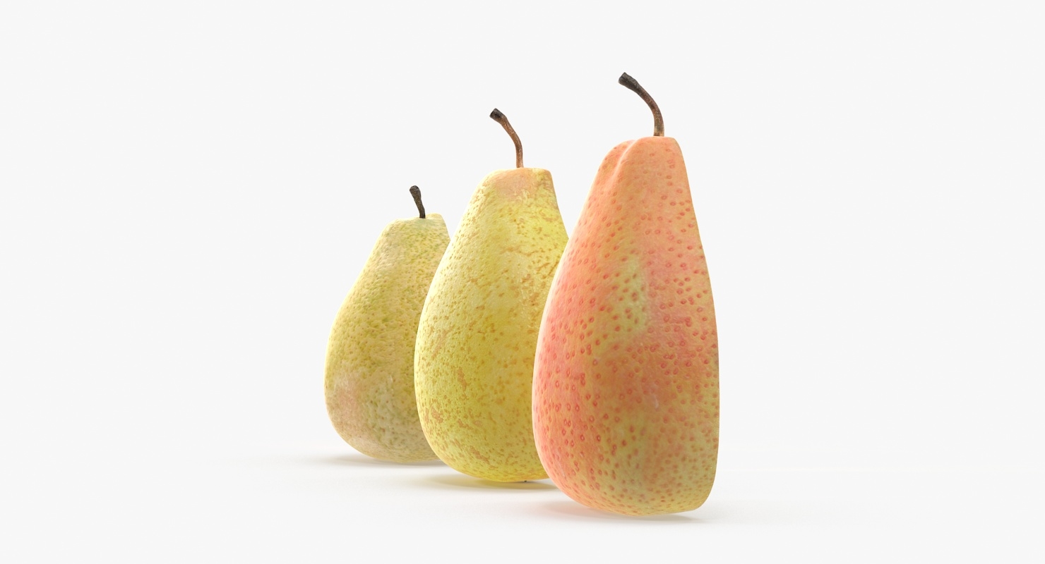 3d pear cross section