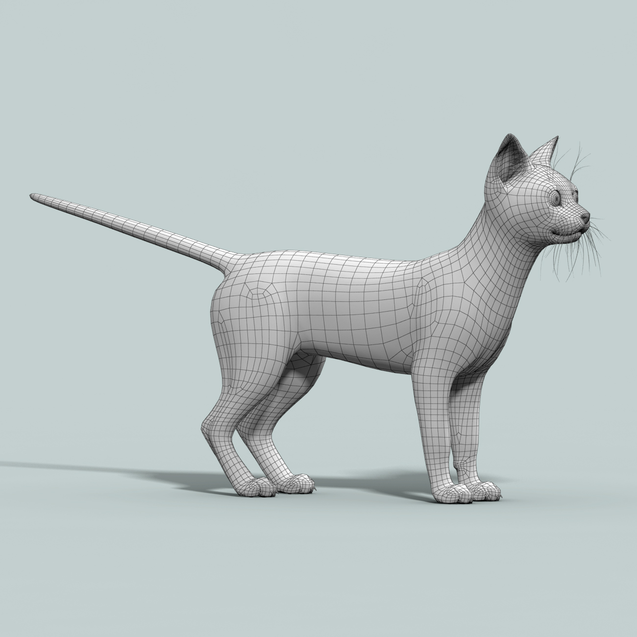 bengal cat animation 3d model