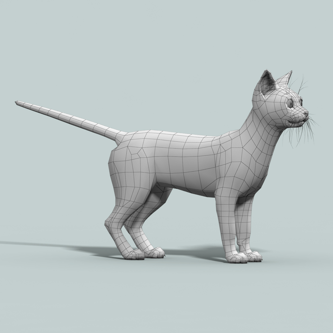 bengal cat animation 3d model