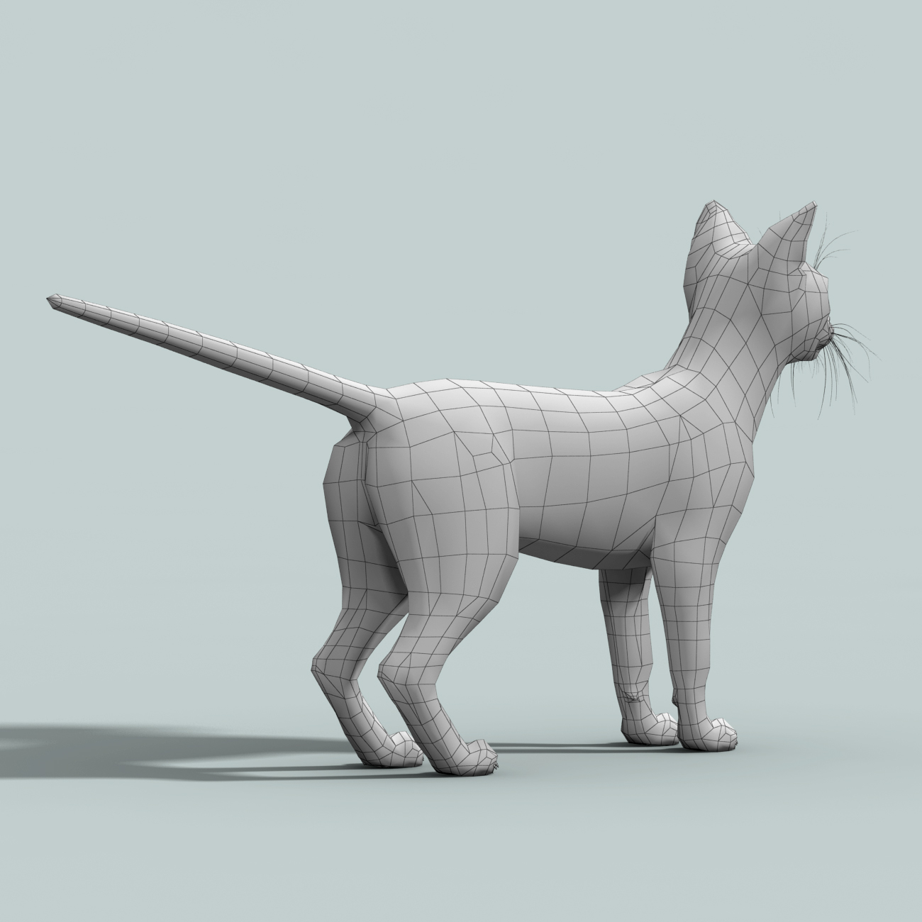 bengal cat animation 3d model