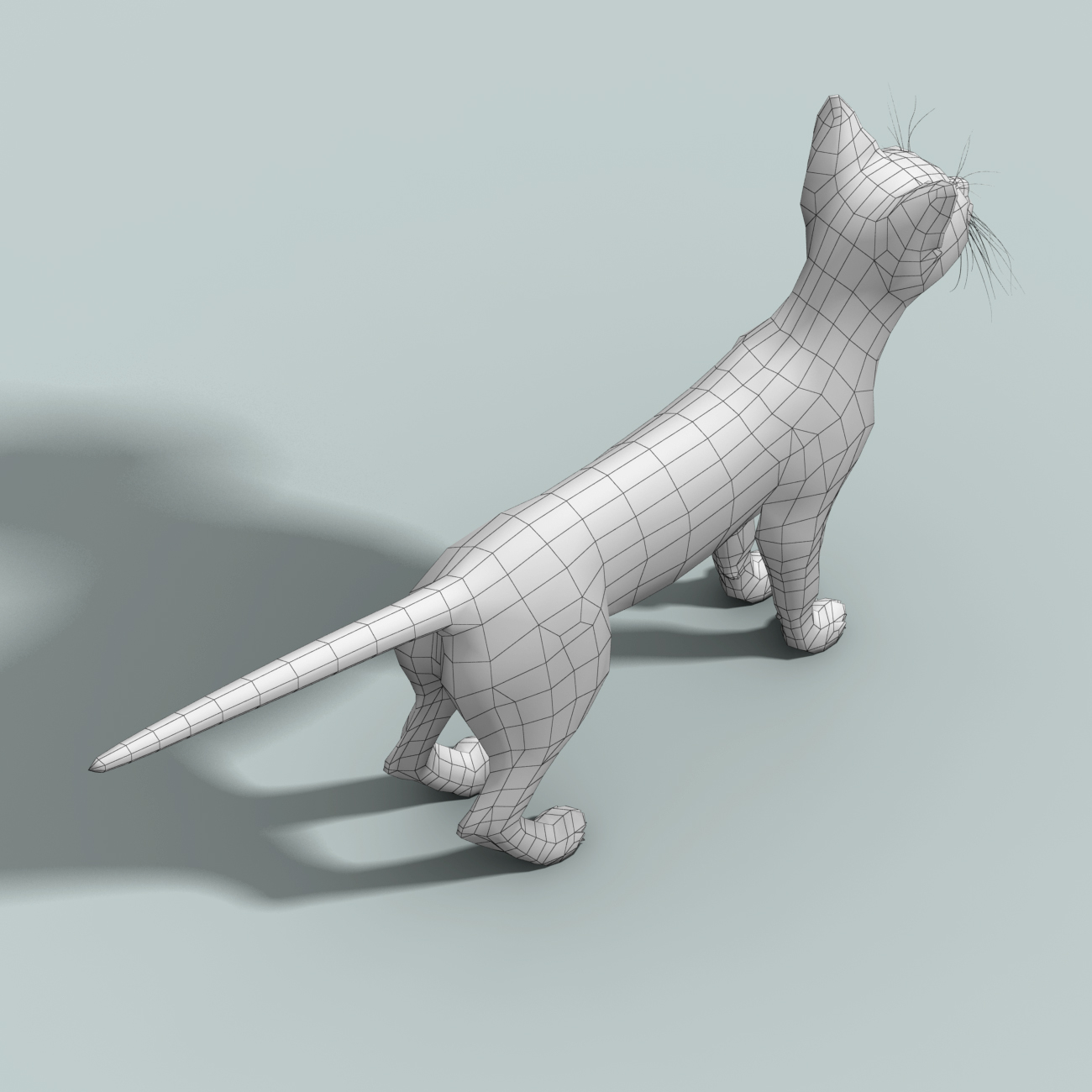 bengal cat animation 3d model