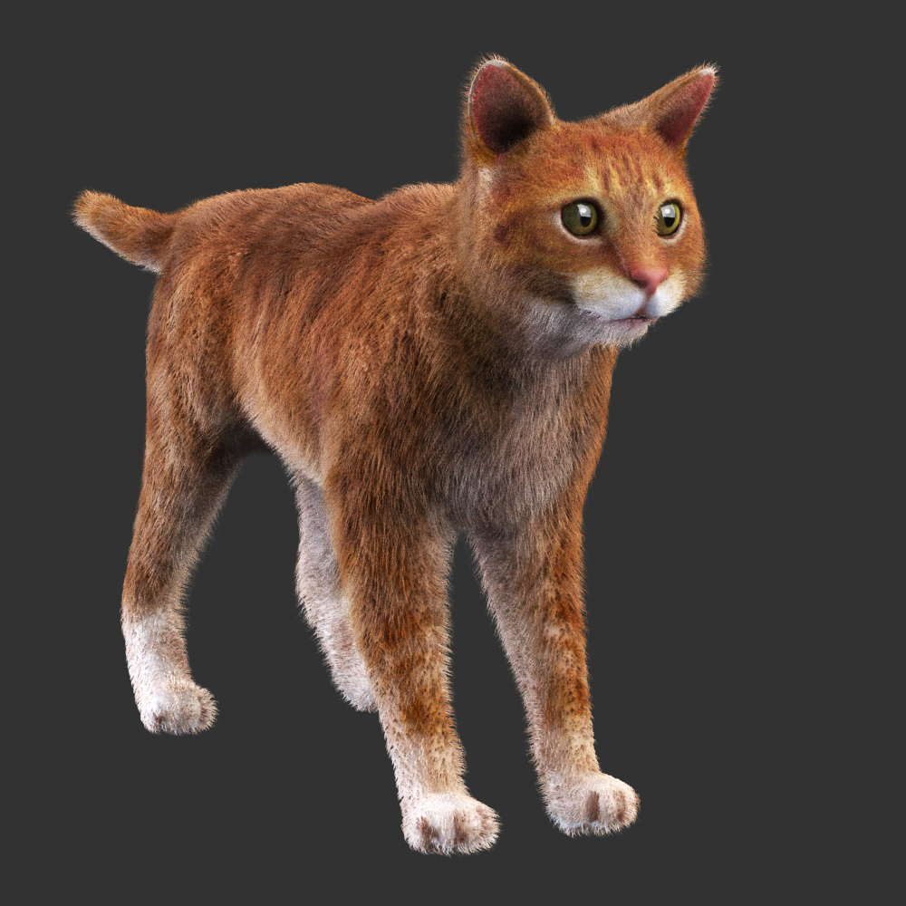 red cat rigged 3d max