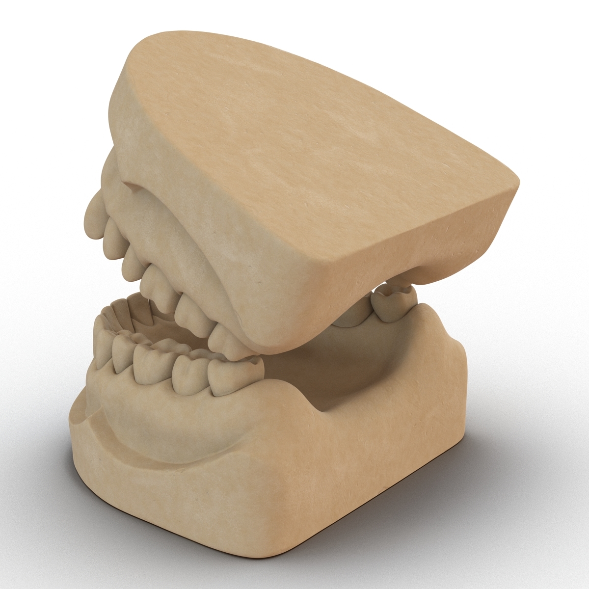 3d dental mold model