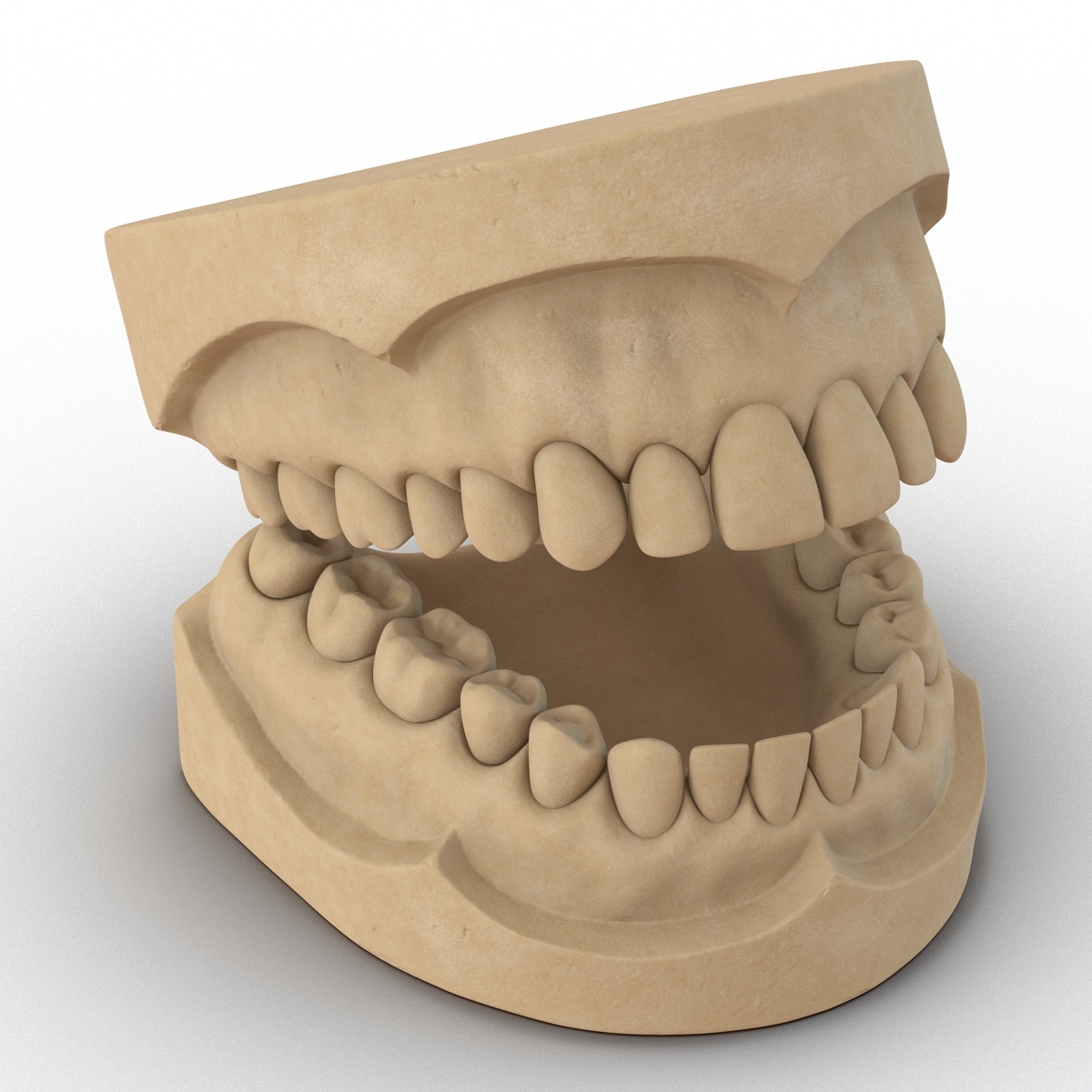 3d dental mold model