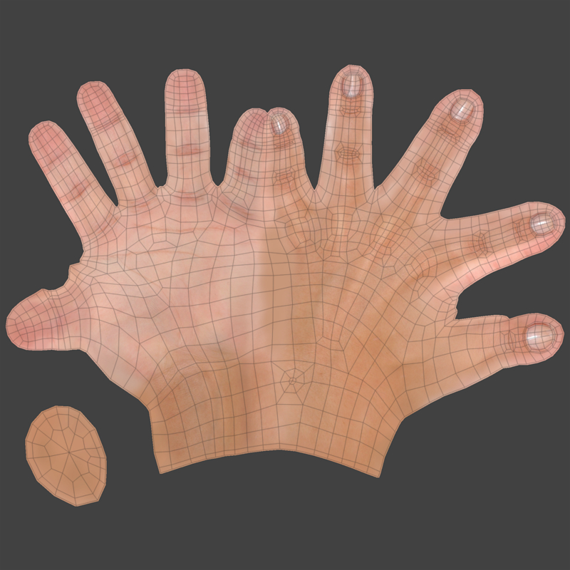 hand realistic 3d model