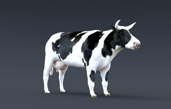 Cow Blender Models for Download | TurboSquid