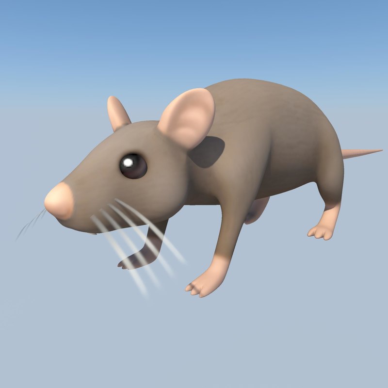 Rat STL Models for Download | TurboSquid