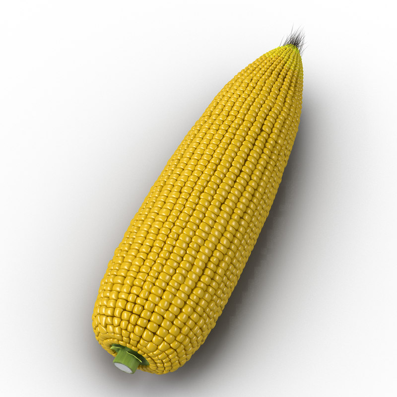 3d model corn