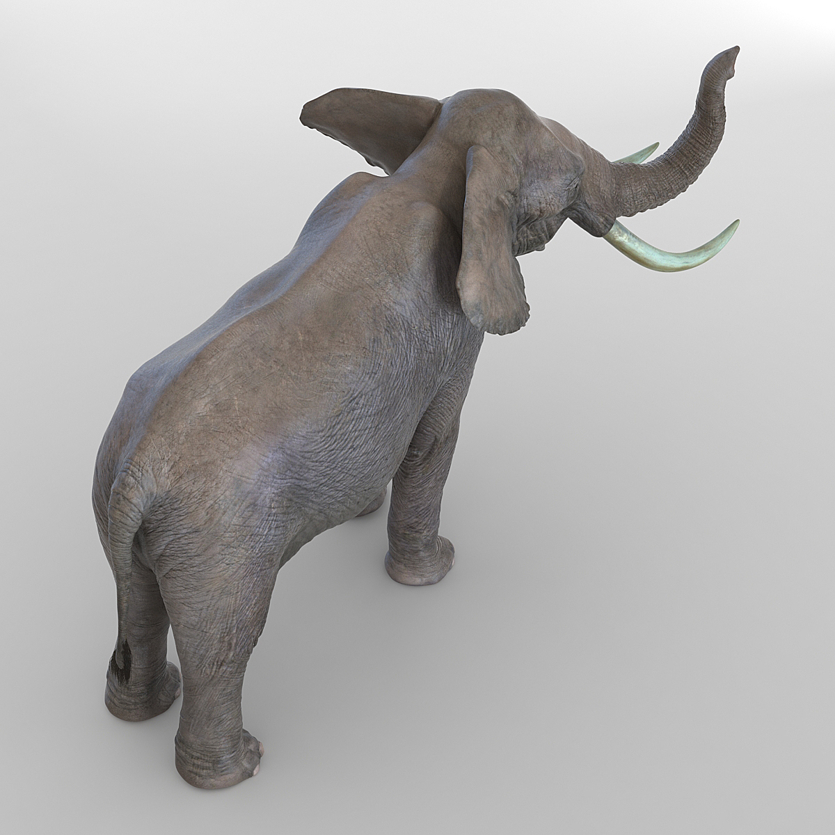 3d elephant pose 3