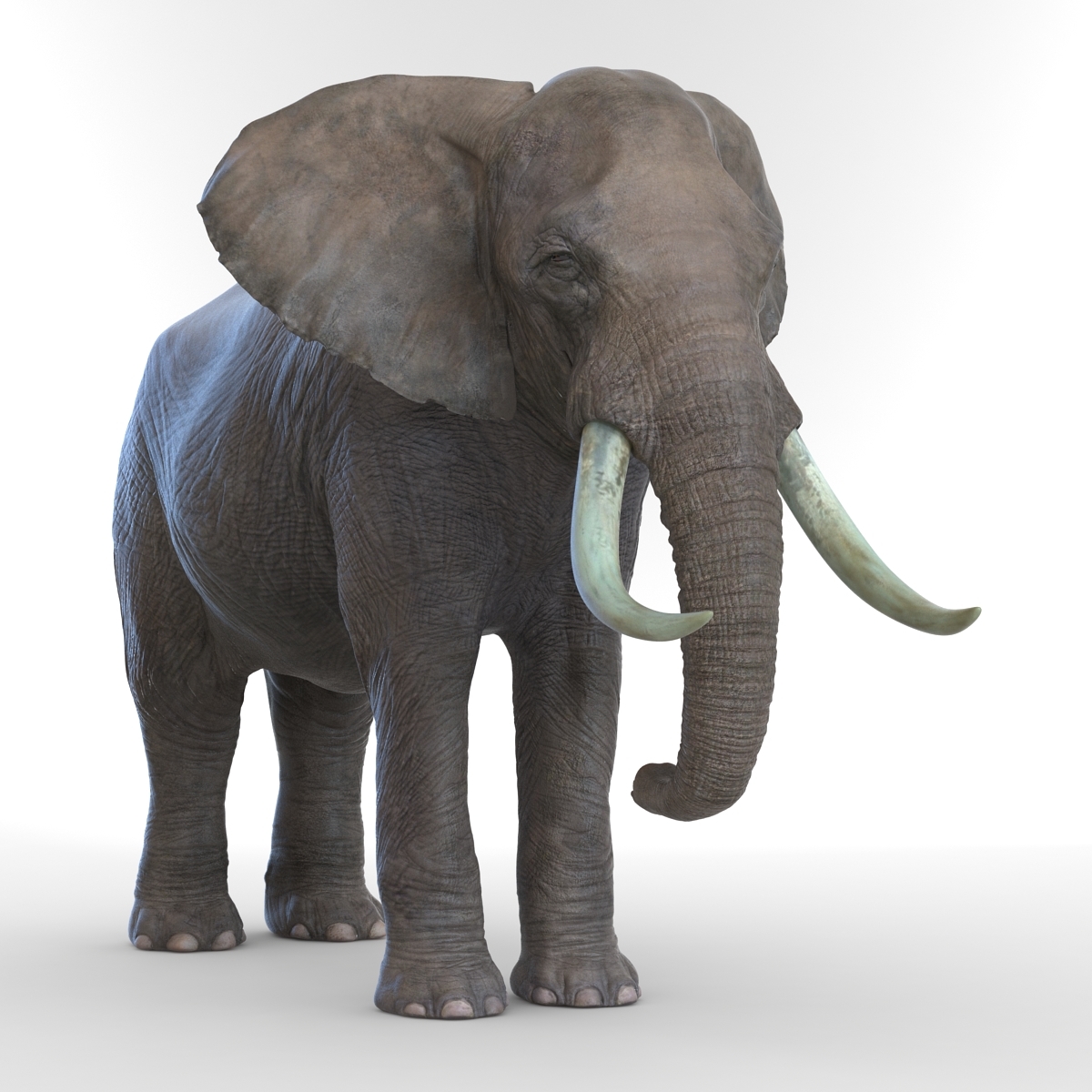 elephant realistic 3d 3ds