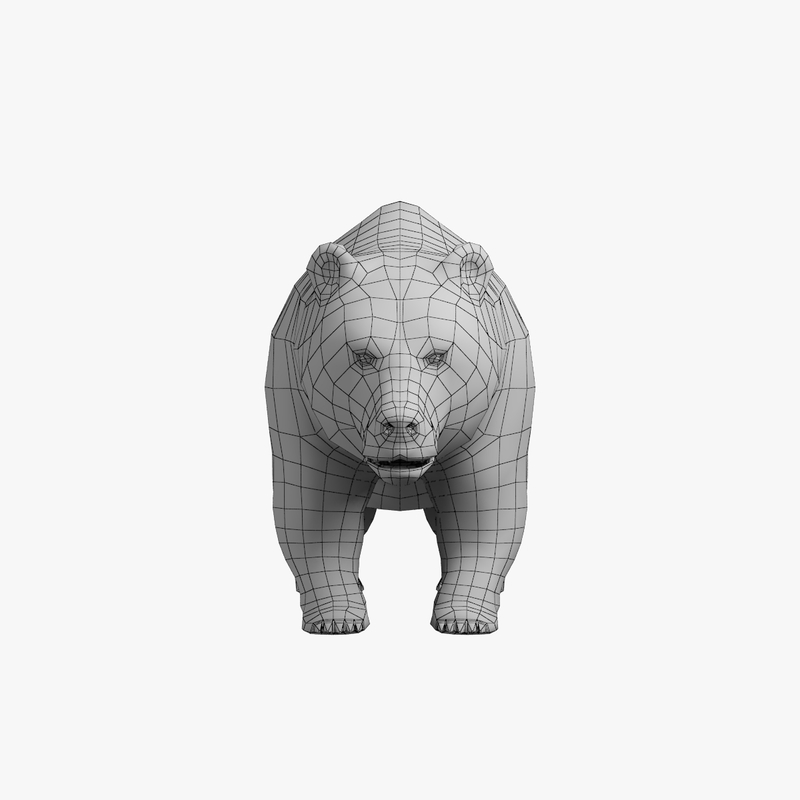 3d bear