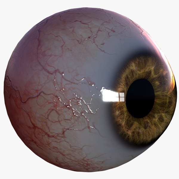 Eyes 3D Models for Download | TurboSquid
