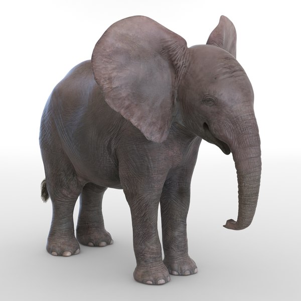 baby elephant 3d model
