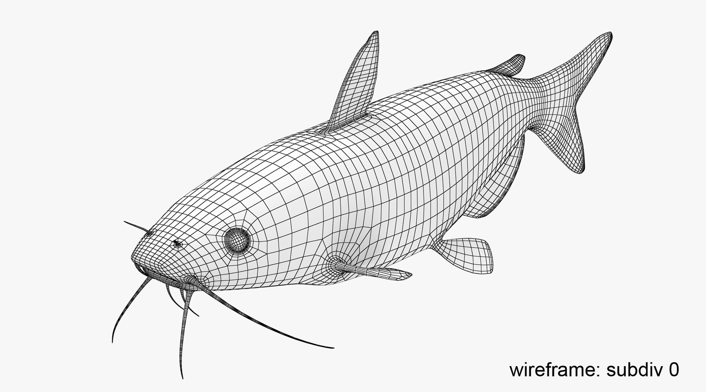 channel catfish 3d obj