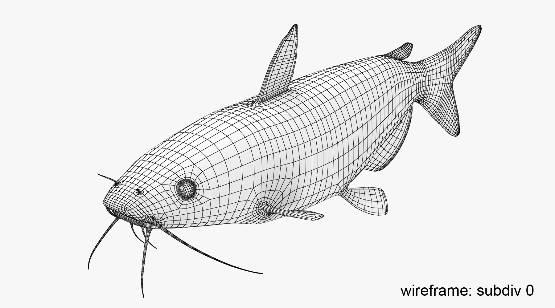 channel catfish 3d obj