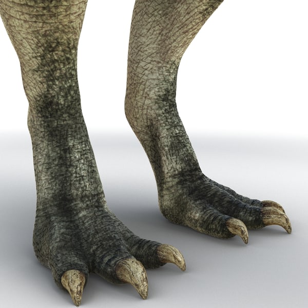 parasaurolophus 3d c4d