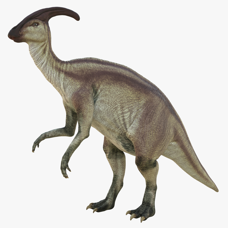 3d parasaurolophus pose 4