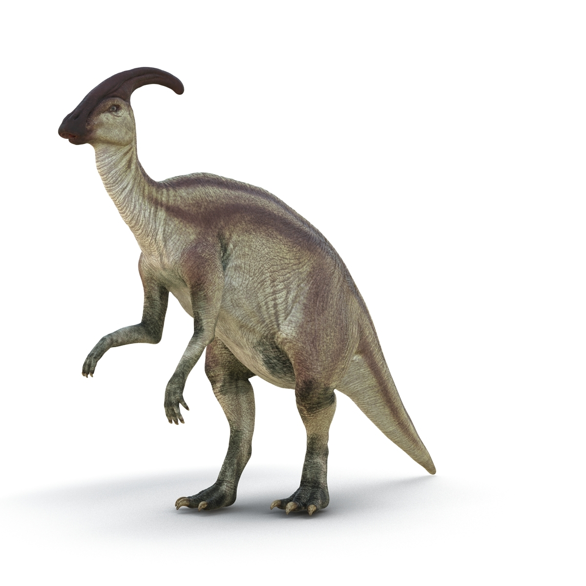 3d parasaurolophus pose 4