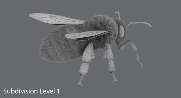 bumblebee bumble bee 3d model