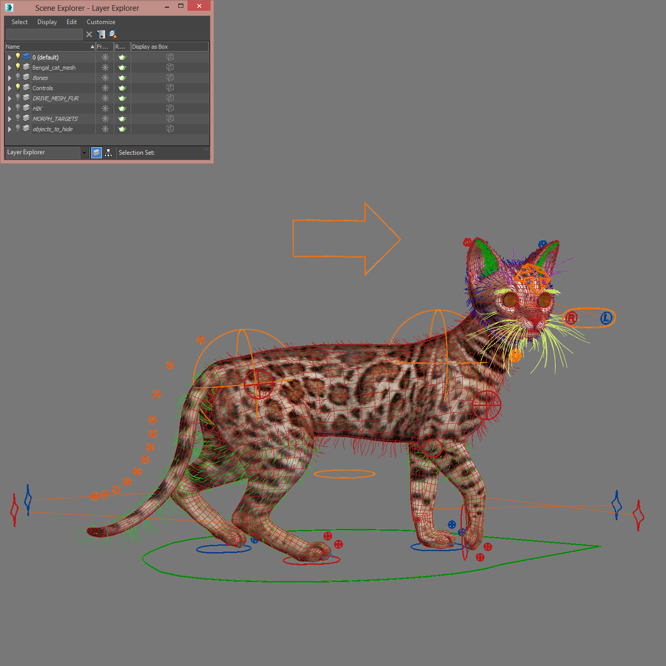 3d bengal cat 2 fur model
