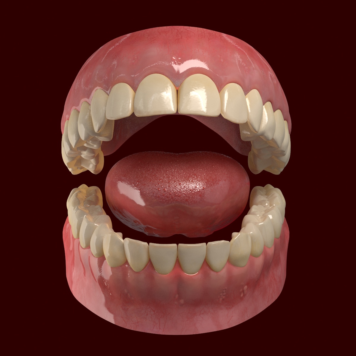 max realistic teeth gums tongue