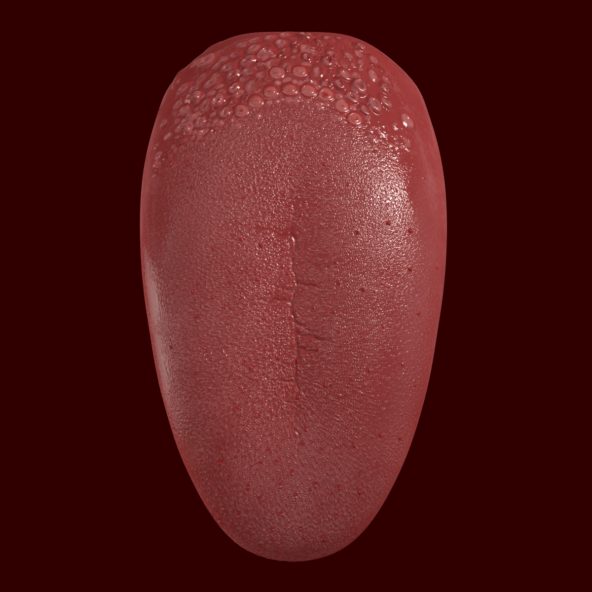 max realistic teeth gums tongue