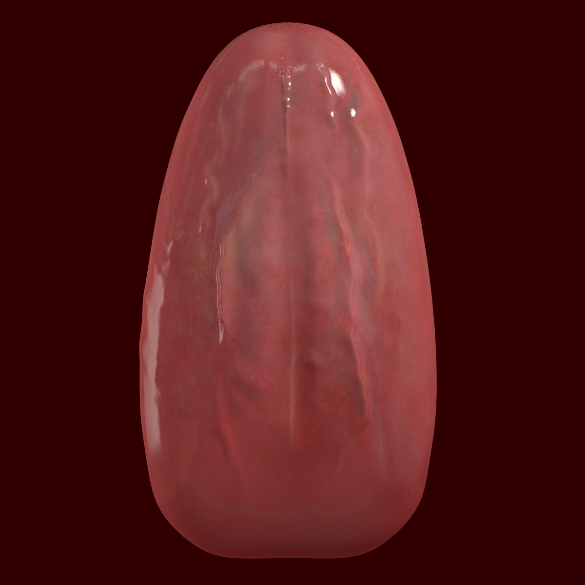 max realistic teeth gums tongue