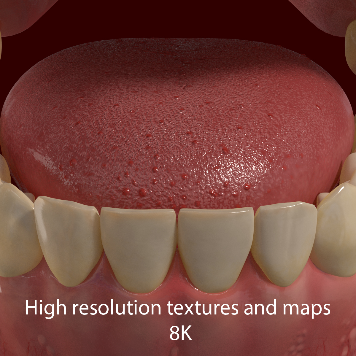 max realistic teeth gums tongue