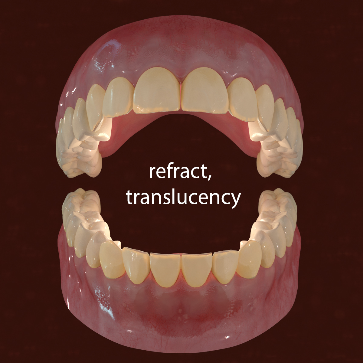 max realistic teeth gums tongue