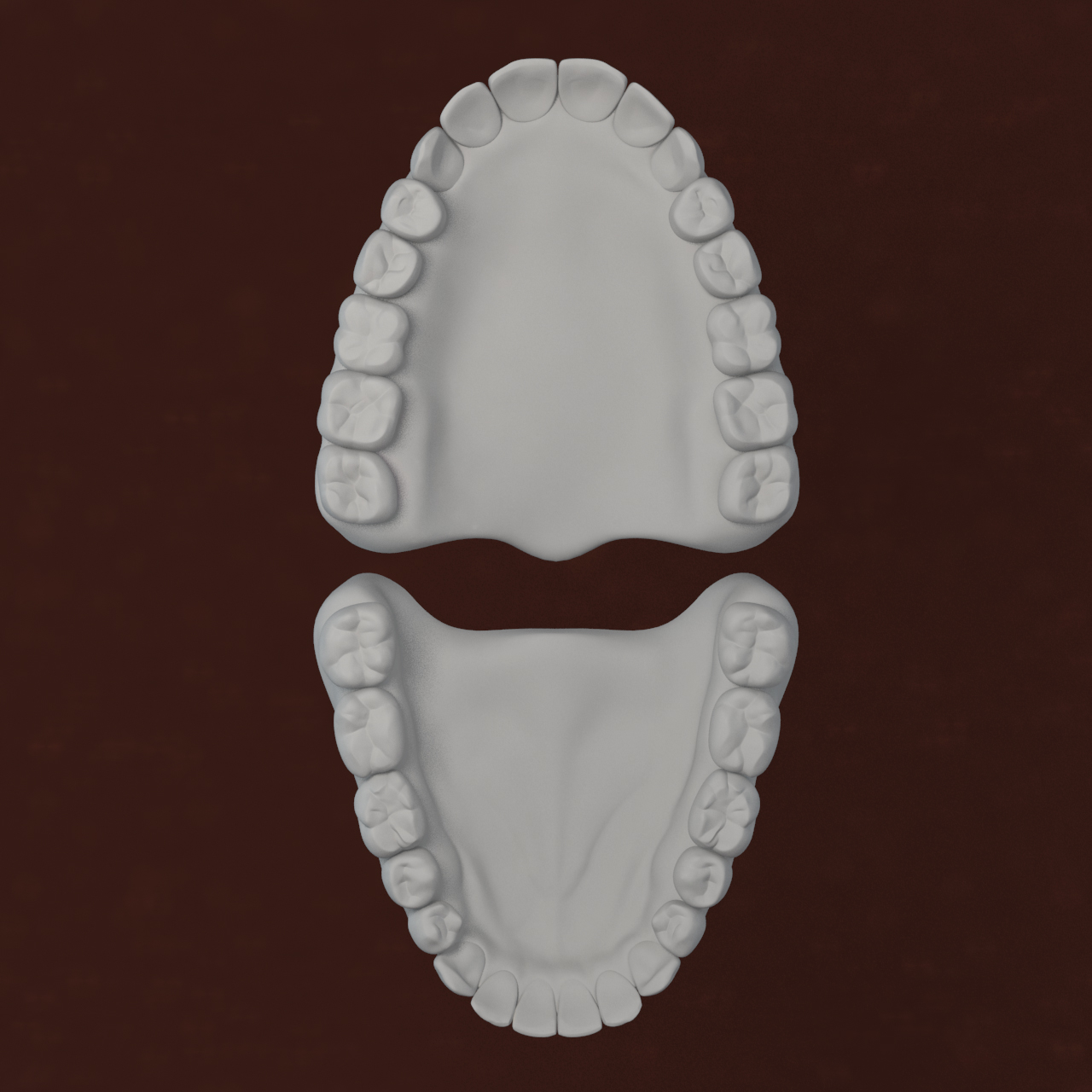 max realistic teeth gums tongue