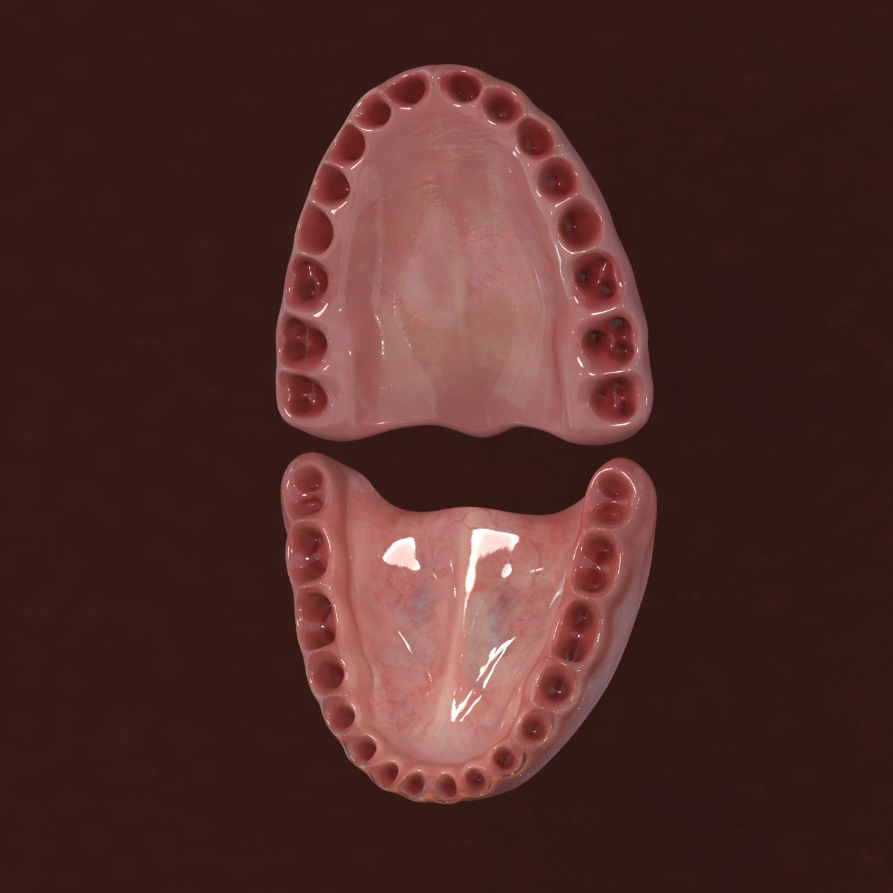 max realistic teeth gums tongue