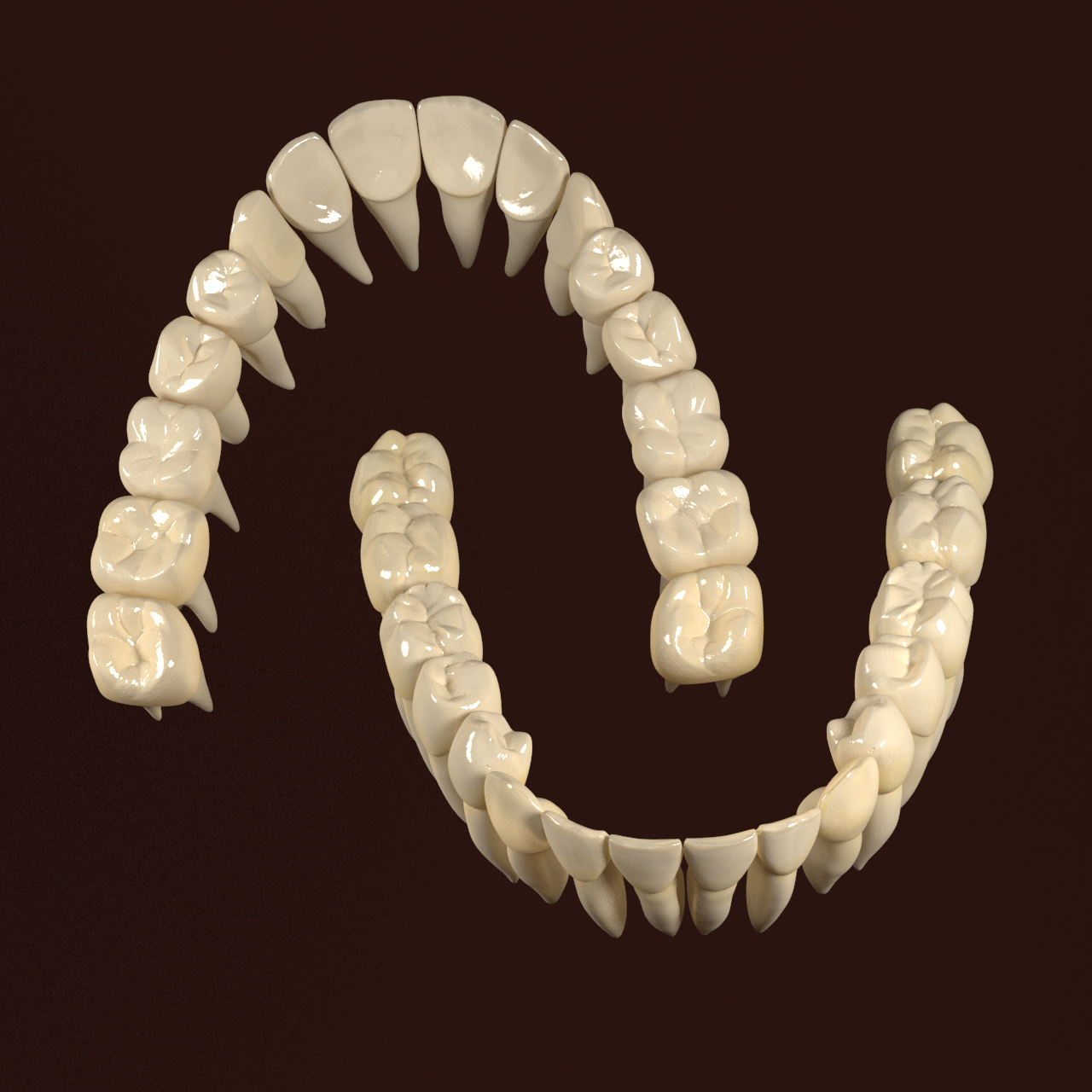 max realistic teeth gums tongue