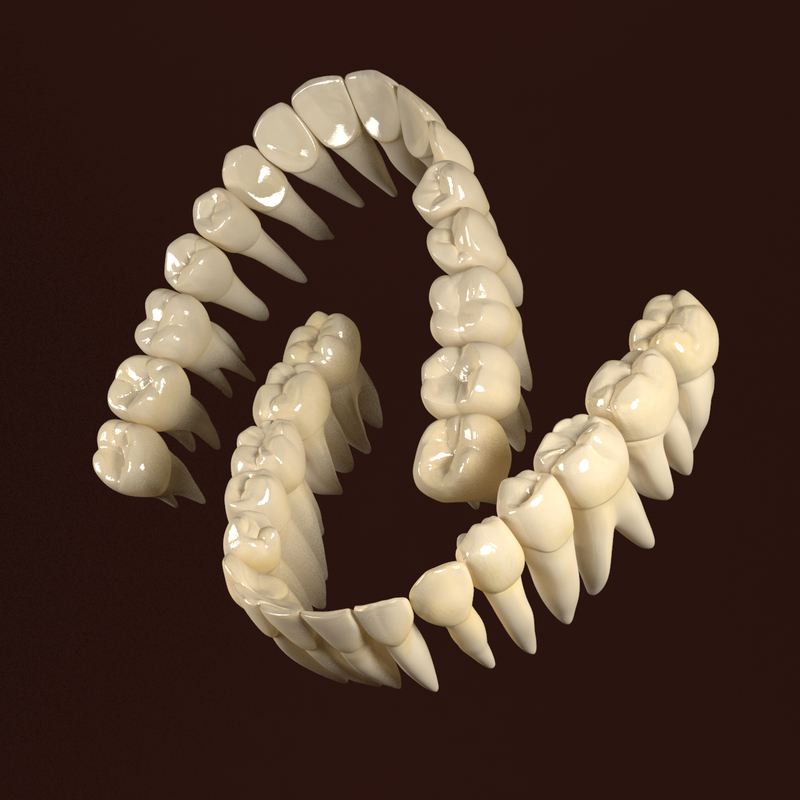 max realistic teeth gums tongue